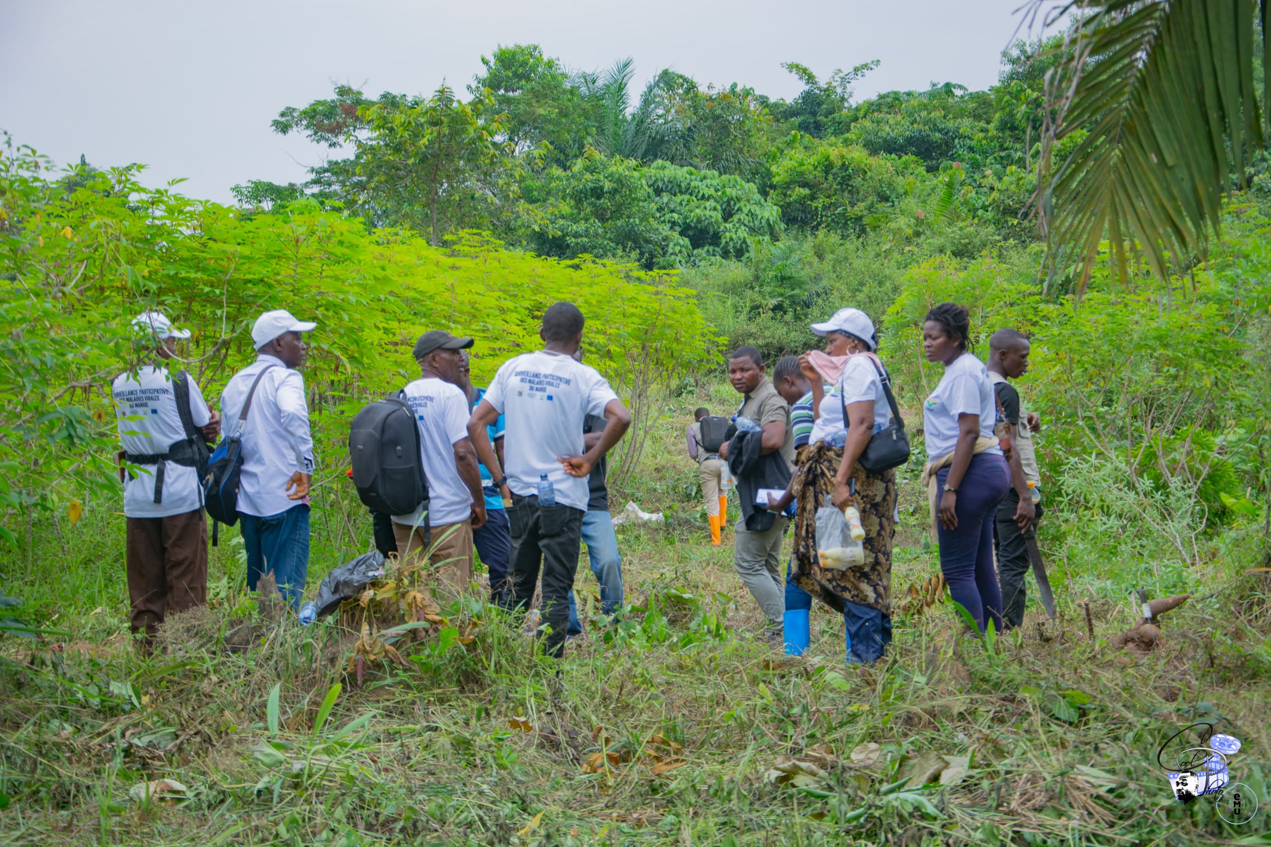 Tshopo : les agriculteurs et agri-multiplicateurs formés par Wave-Ifa ...